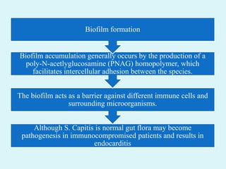 Staphylococcus capitis bacteria (1).pptx