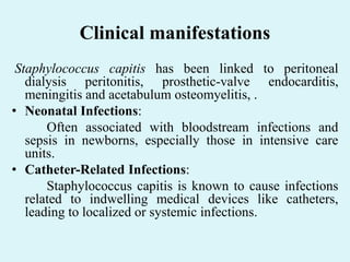 Staphylococcus capitis bacteria (1).pptx