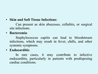 Staphylococcus capitis bacteria (1).pptx