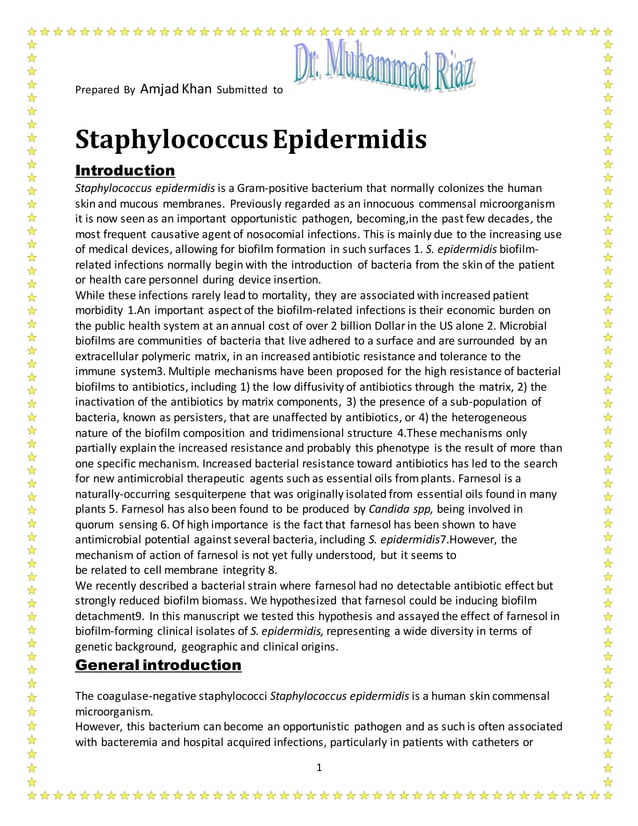Staphylococcus epidermidis | DOCX