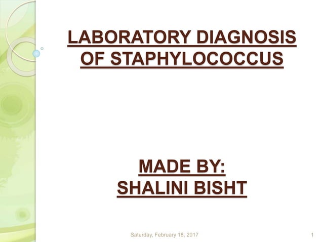 laboratory diagnosis of staphylococcus | PPTX | Infectious Diseases ...