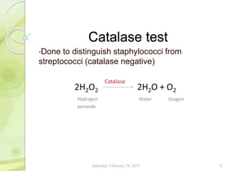 laboratory diagnosis of staphylococcus | PPTX