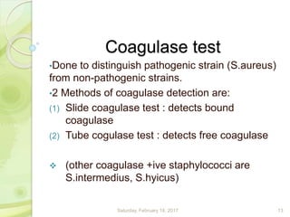laboratory diagnosis of staphylococcus | PPTX