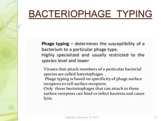 laboratory diagnosis of staphylococcus | PPTX