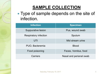 laboratory diagnosis of staphylococcus | PPTX