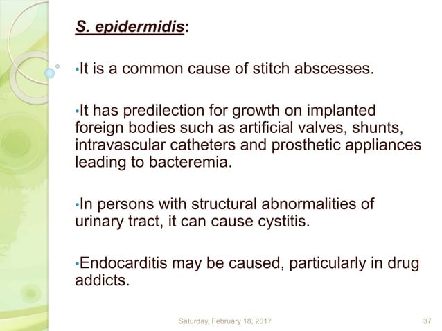 laboratory diagnosis of staphylococcus | PPTX | Infectious Diseases ...