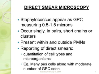 laboratory diagnosis of staphylococcus | PPTX