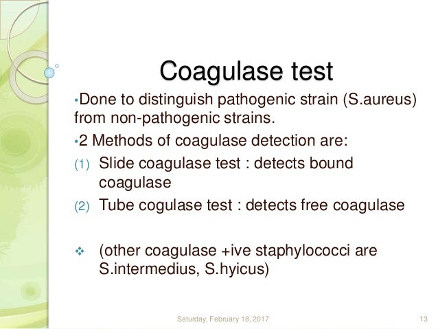laboratory diagnosis of staphylococcus