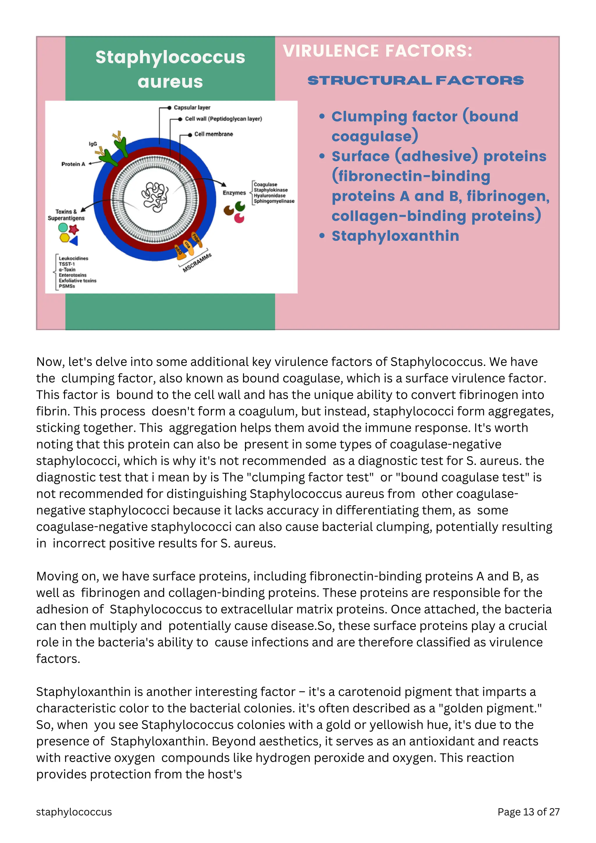 staphylococcus full notes (microbiology) | PDF