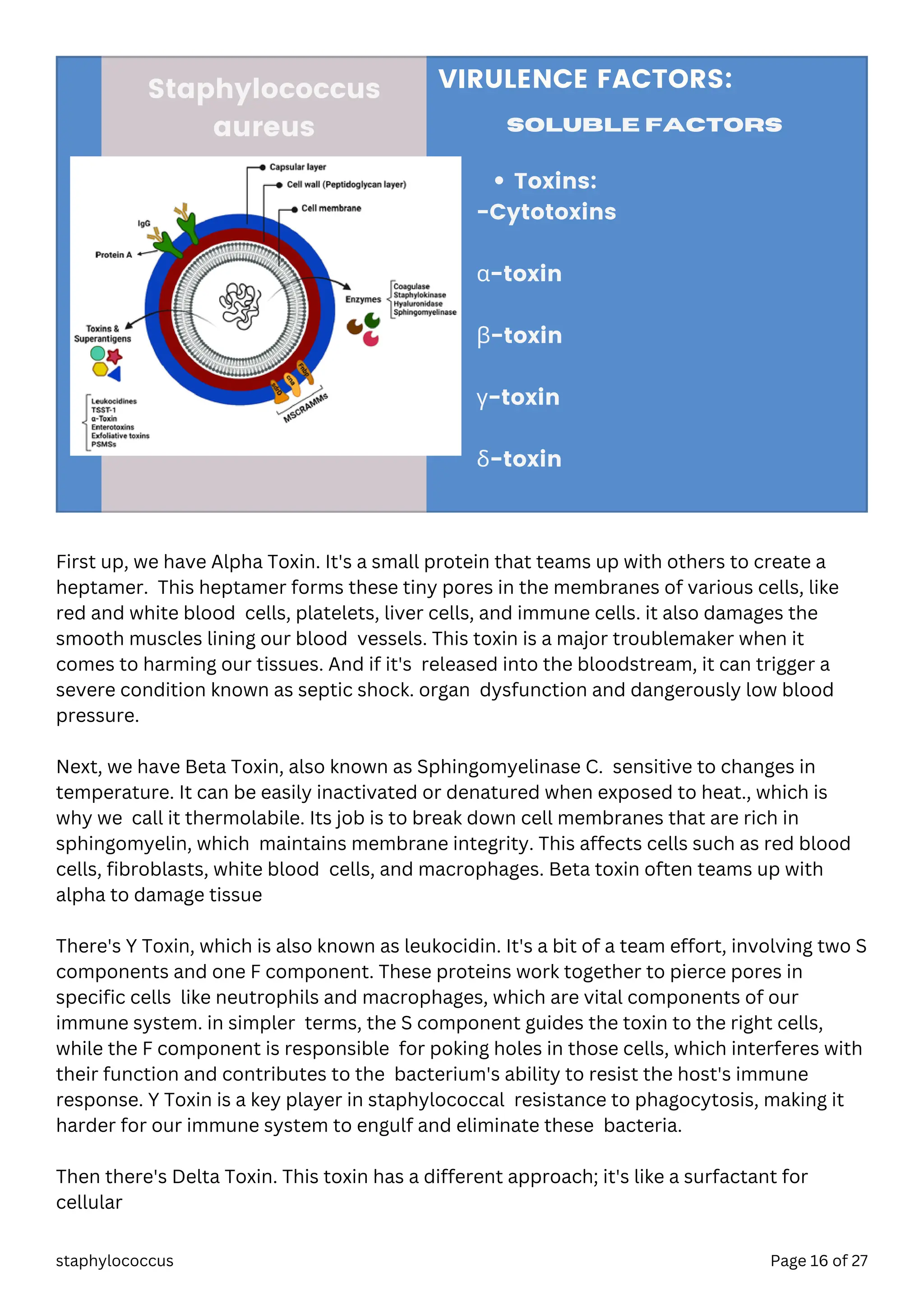 Staphylococcus Full Notes Microbiology Pdf