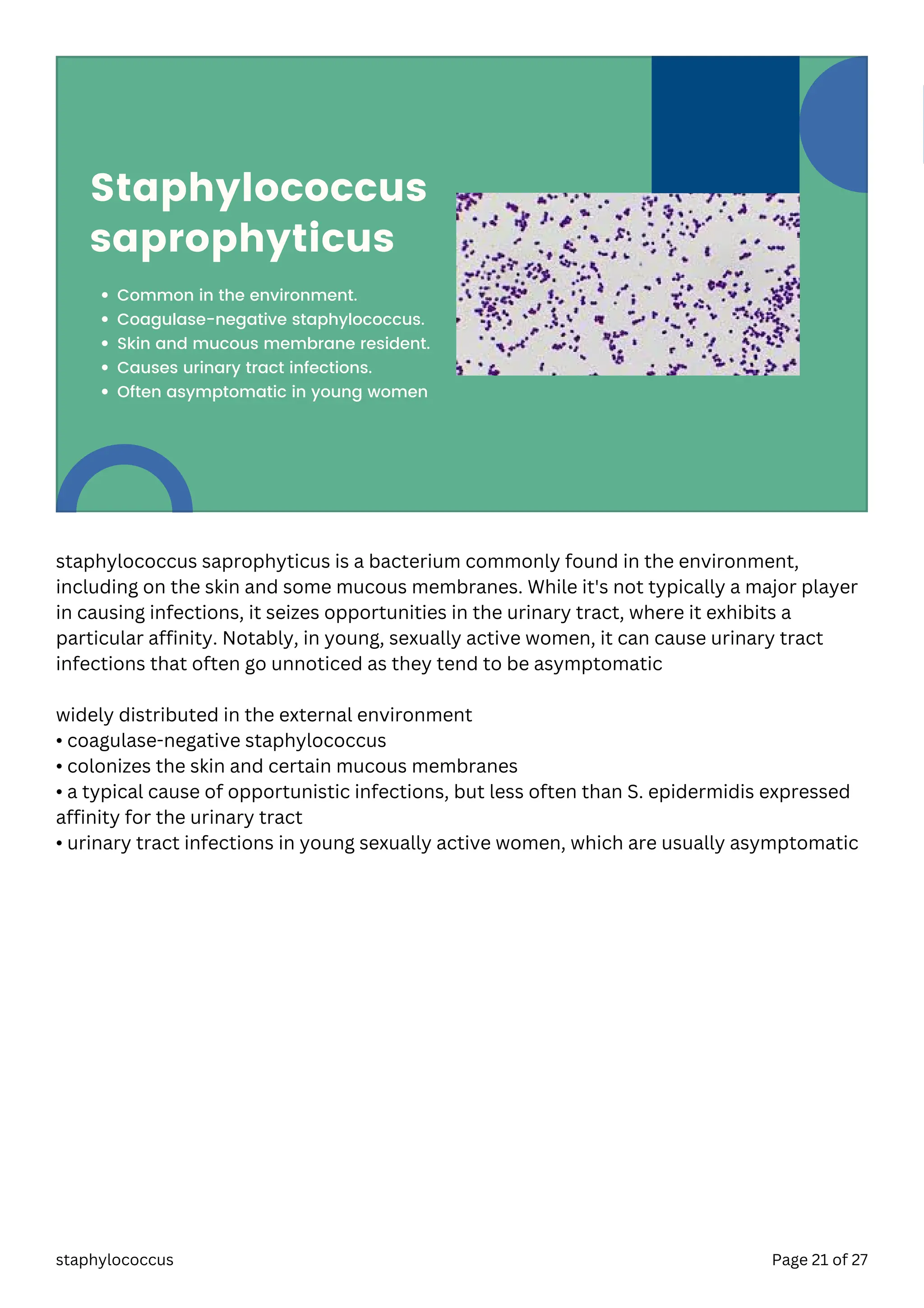 Staphylococcus Full Notes Microbiology Pdf