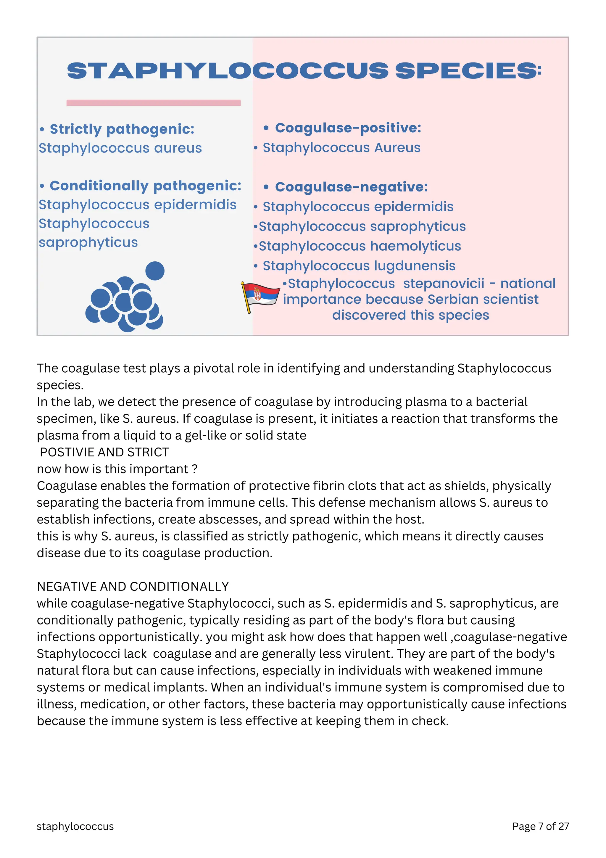 staphylococcus full notes (microbiology) | PDF
