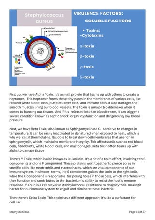 staphylococcus full notes (microbiology) | PDF