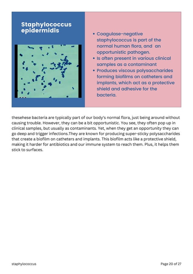 staphylococcus full notes (microbiology) | PDF