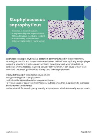 staphylococcus full notes (microbiology) | PDF