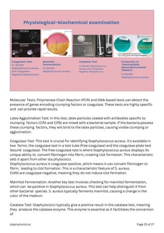 staphylococcus full notes (microbiology) | PDF