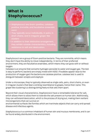 staphylococcus full notes (microbiology) | PDF