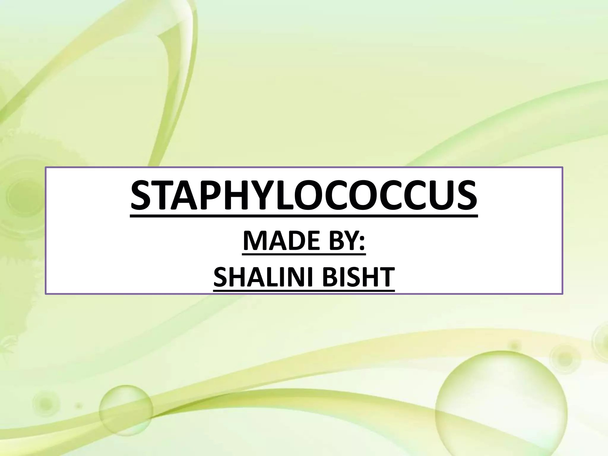 Staphylococcus | PPTX