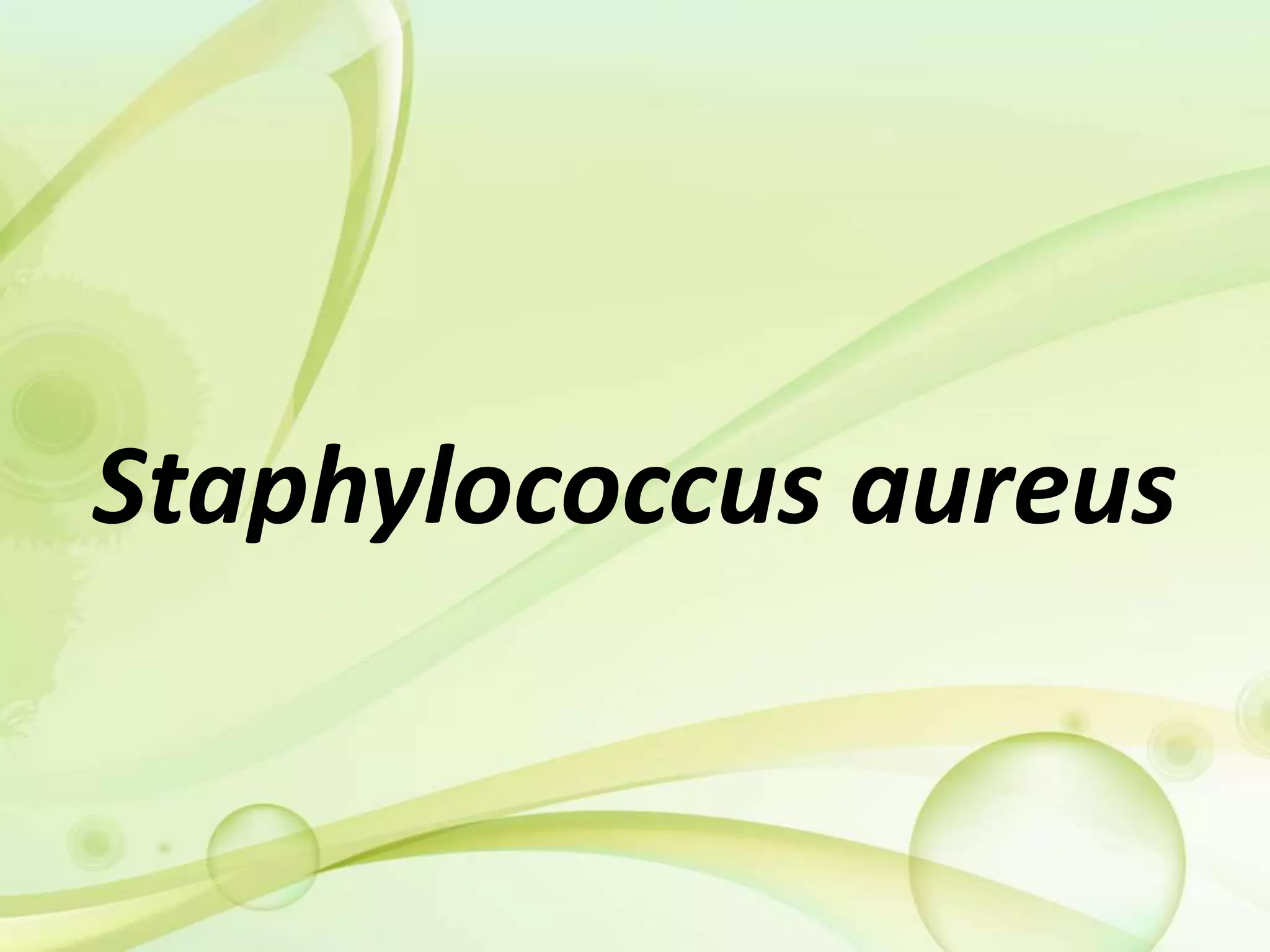 Staphylococcus | PPTX