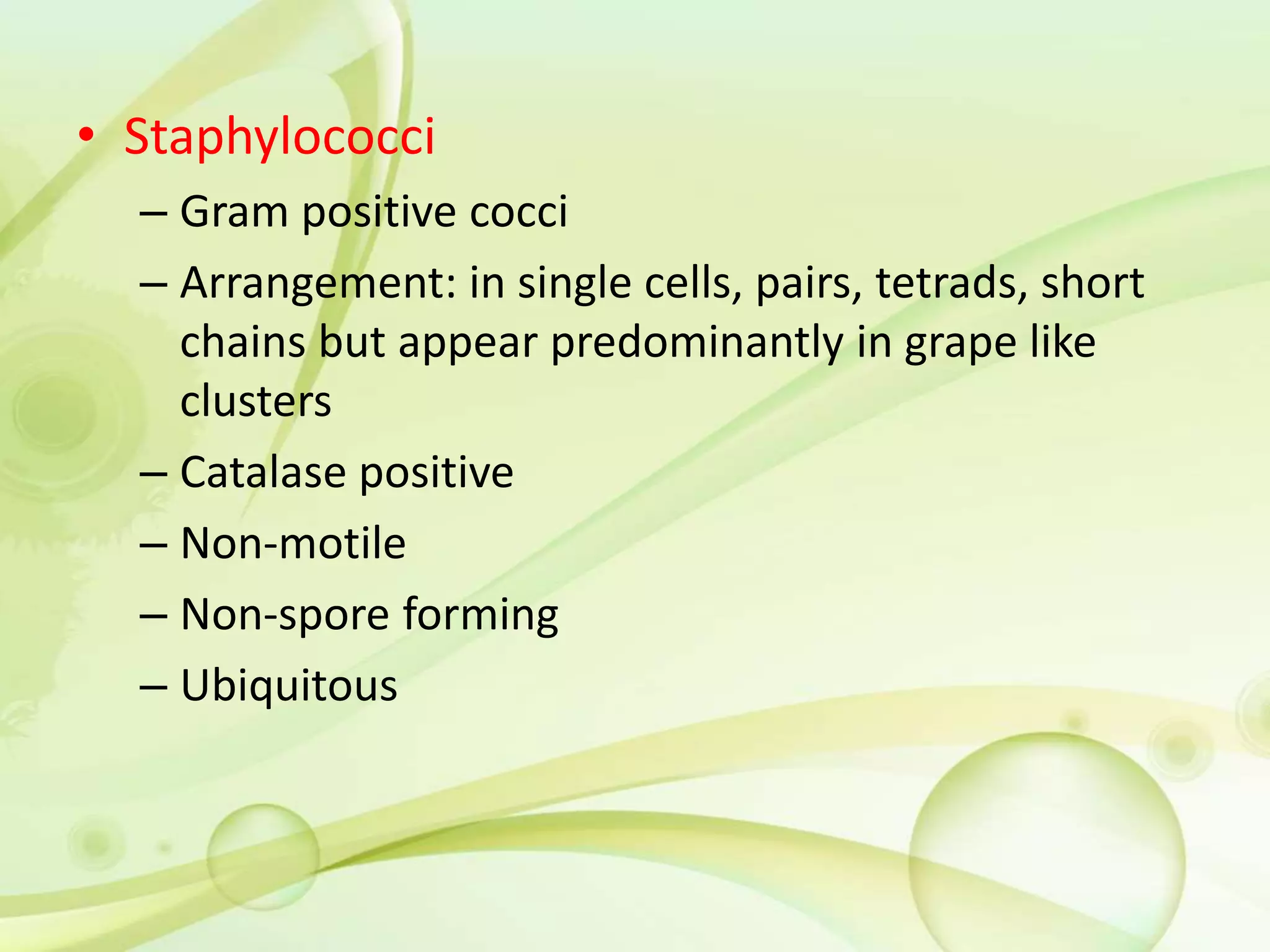 Staphylococcus | PPTX