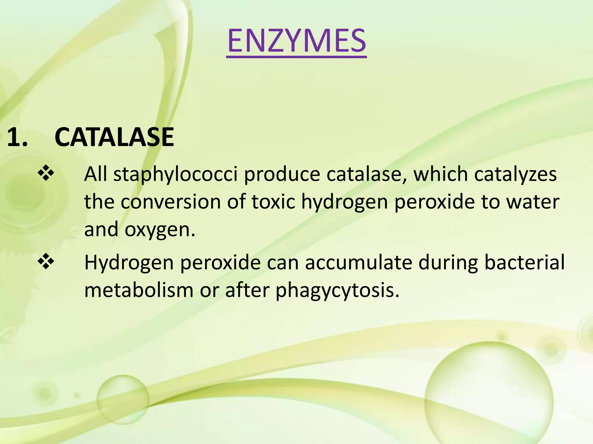 Staphylococcus | PPTX