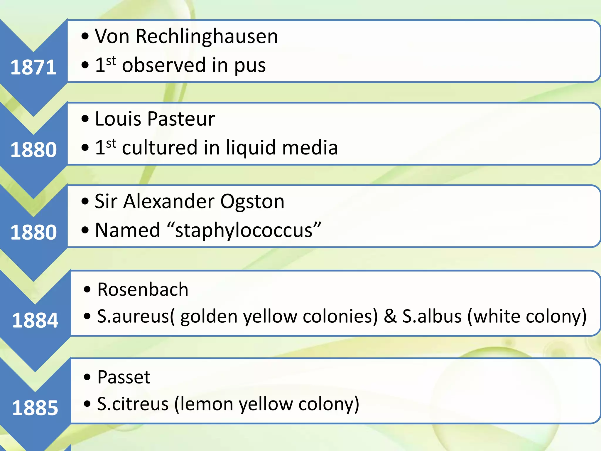 Staphylococcus | PPTX