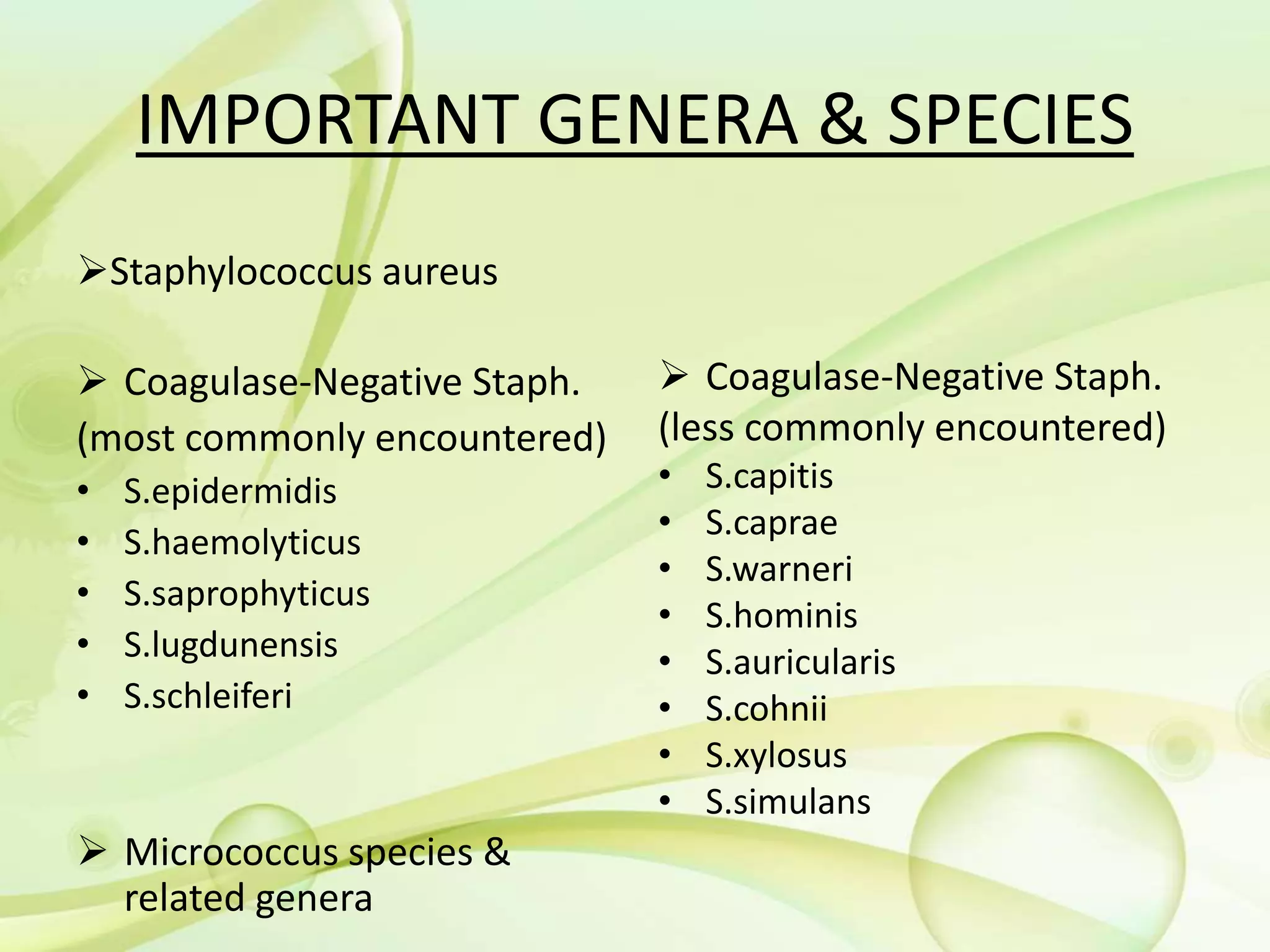 Staphylococcus | PPTX