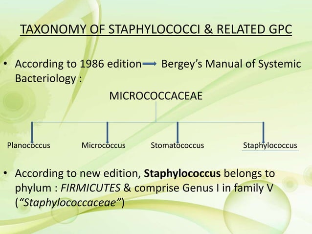 Staphylococcus | PPTX