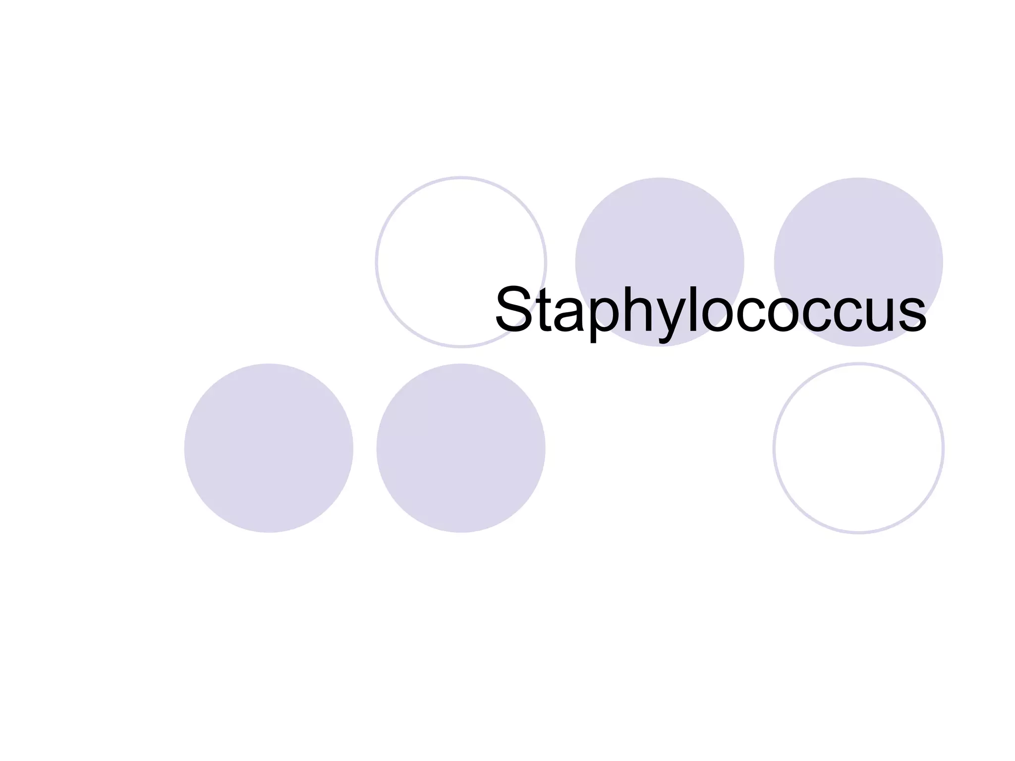 Staphylococcus ppt 2.ppt