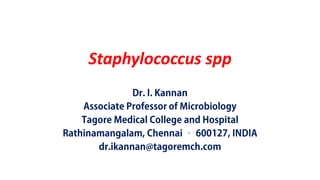 Staphylococcus spp | PDF