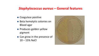 Staphylococcus spp | PDF