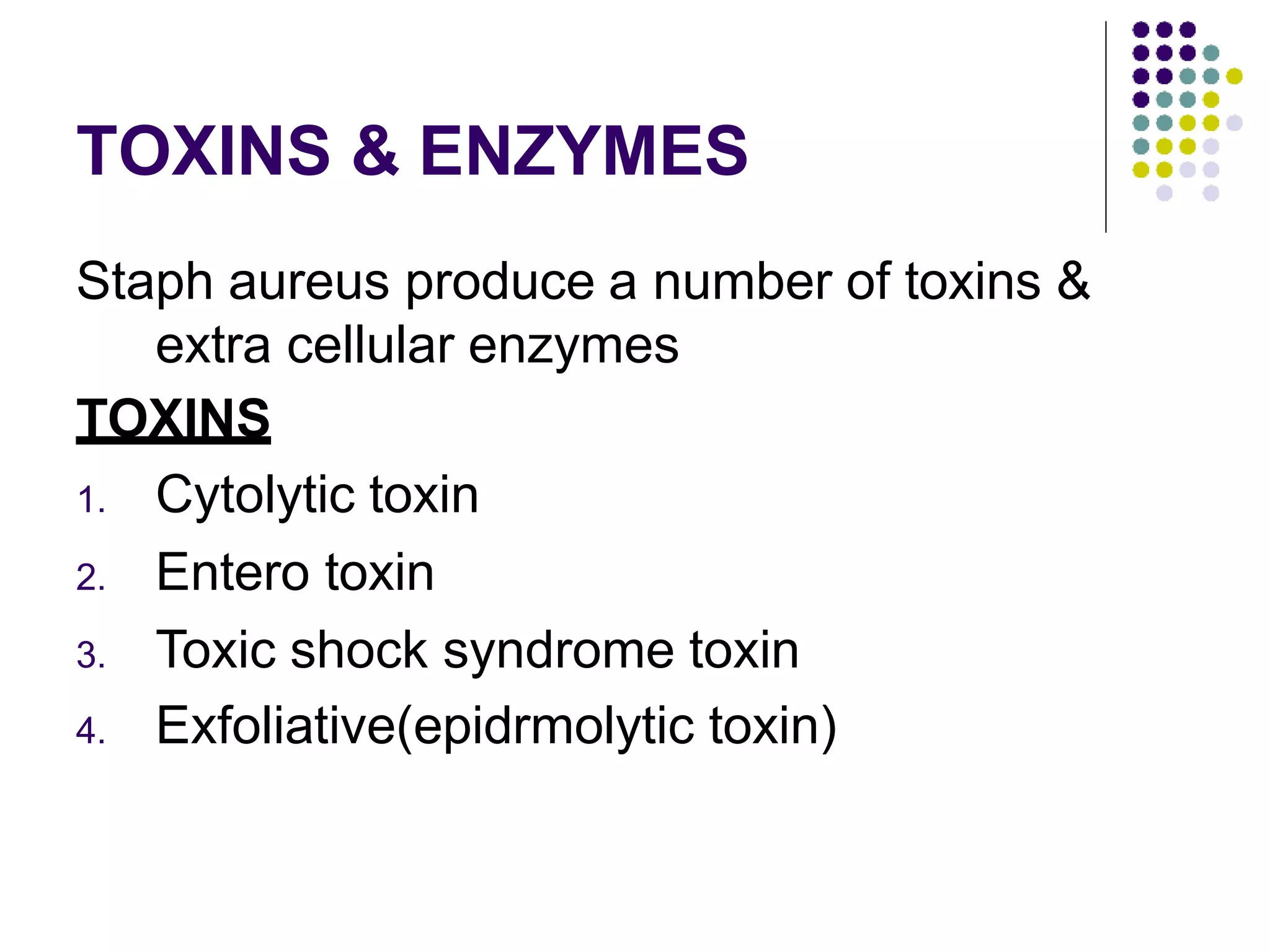 staphylococcus spp.pptx