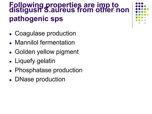 staphylococcus spp.pptx