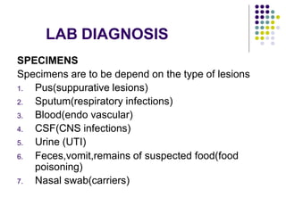 staphylococcus spp.pptx | Infectious Diseases | Diseases and Conditions