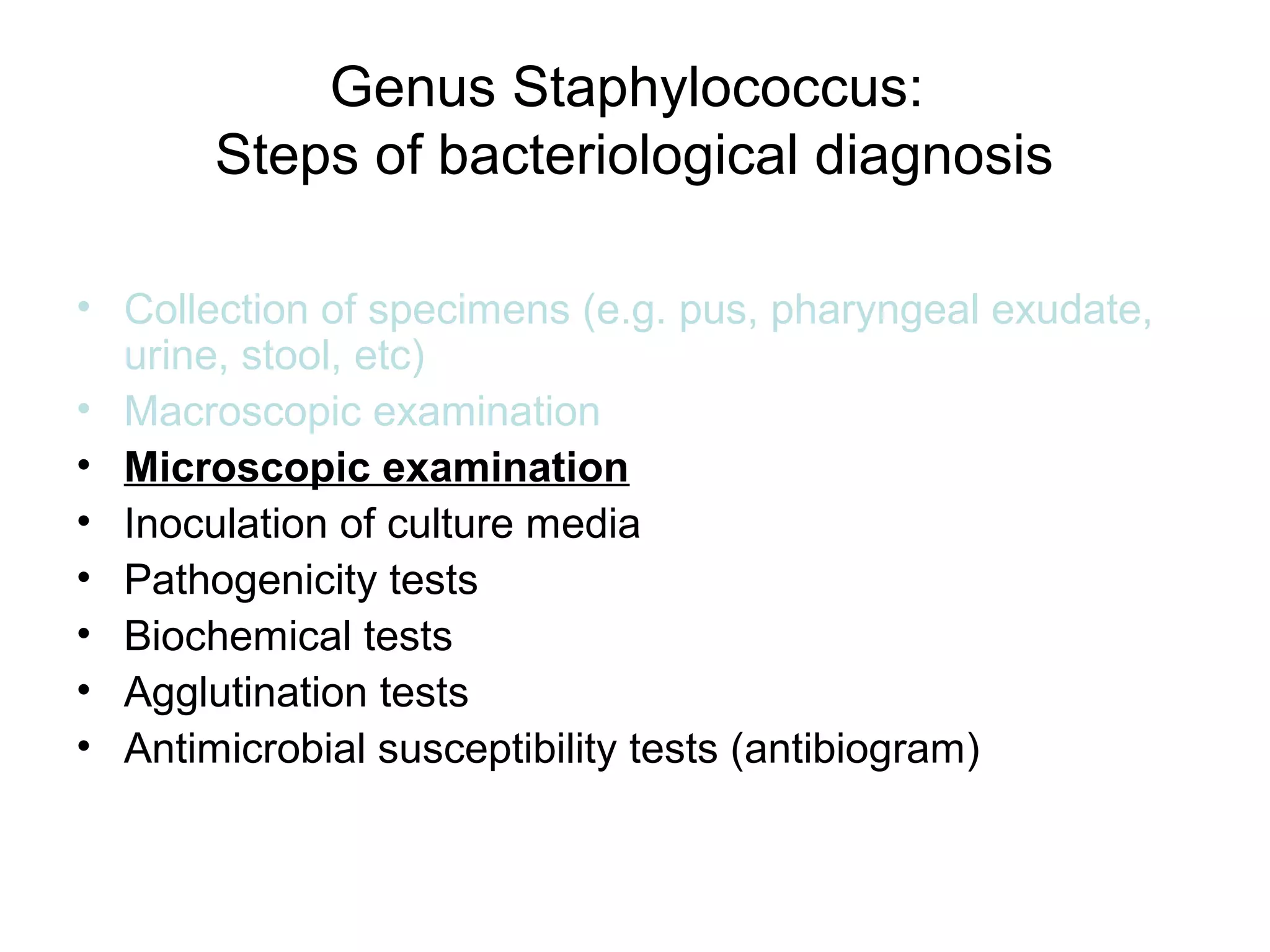 Staphylococcus streptococcus bacteriological diagnosis_i | PPT
