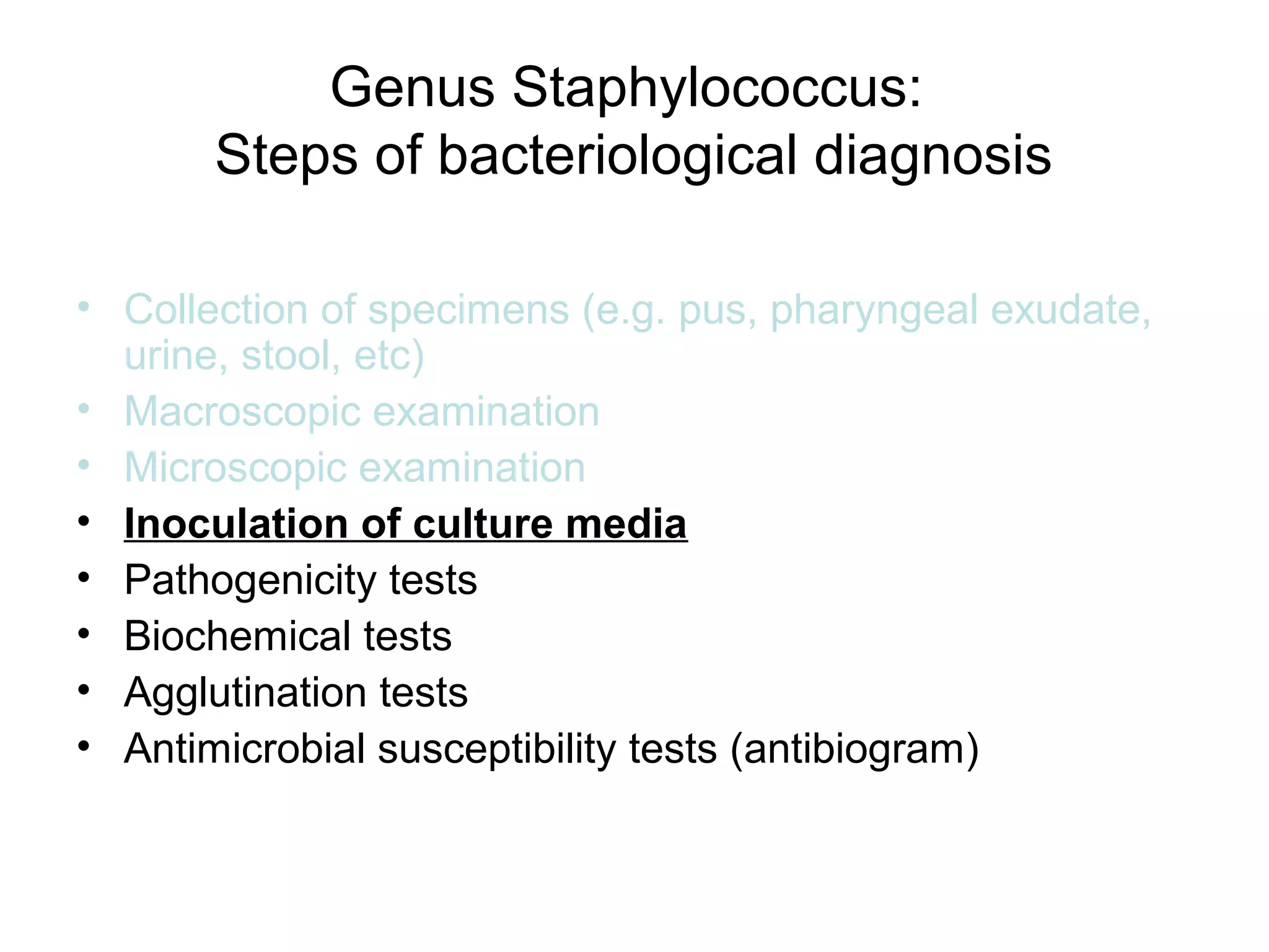 Staphylococcus streptococcus bacteriological diagnosis_i | PPT