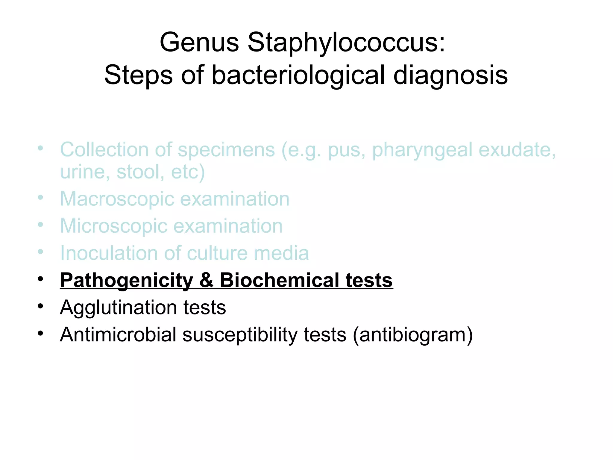 Staphylococcus streptococcus bacteriological diagnosis_i | PPT