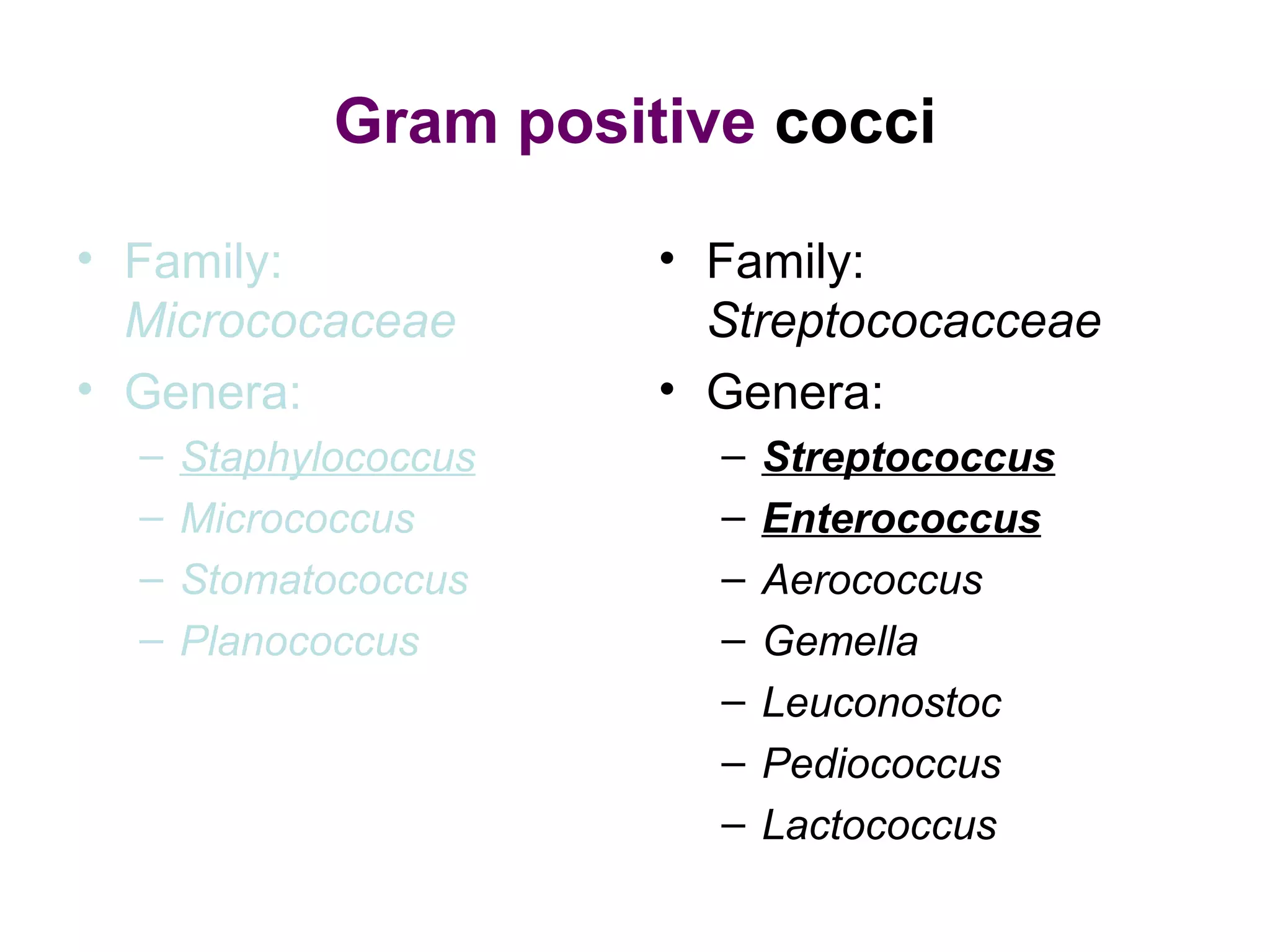 Staphylococcus streptococcus bacteriological diagnosis_i | PPT