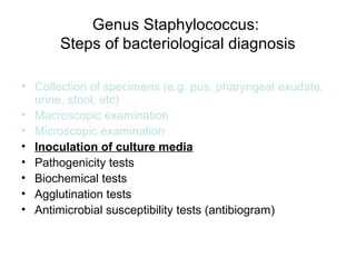 Staphylococcus streptococcus bacteriological diagnosis_i | PPT