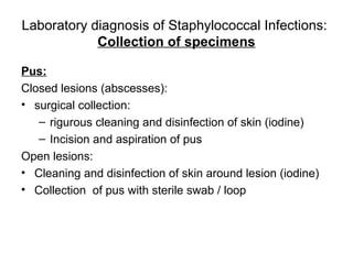 Staphylococcus streptococcus bacteriological diagnosis_i | PPT