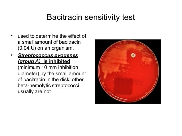 Staphylococcus streptococcus bacteriological diagnosis_i
