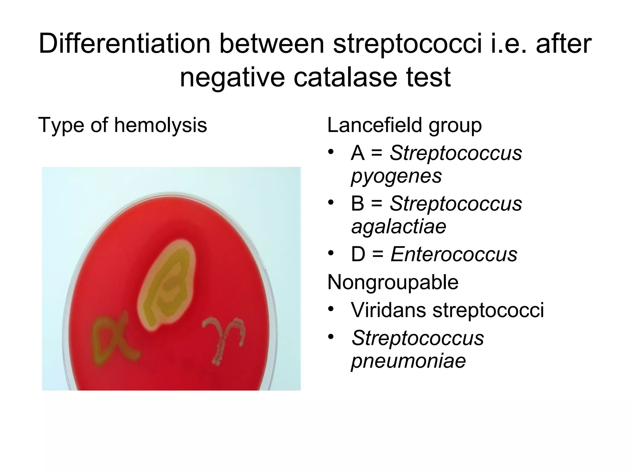 Staphylococcus streptococcus bacteriological diagnosis_ii | PPT