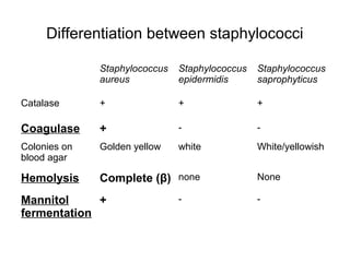 Staphylococcus streptococcus bacteriological diagnosis_ii | PPT