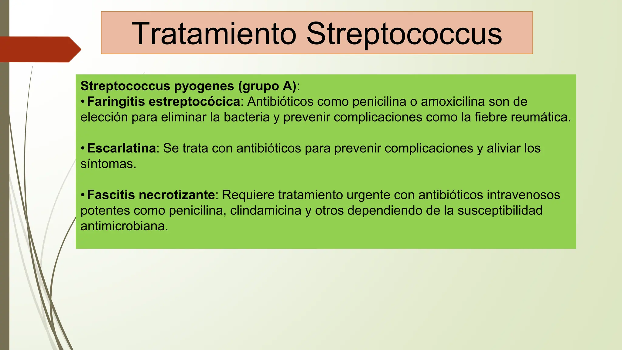 Staphylococcus, Streptococcus, Enterococcus, Bacillus (1).pptx