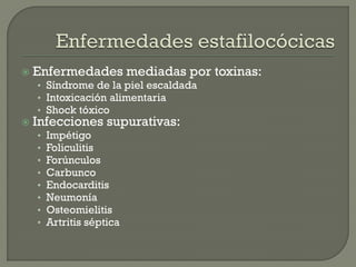 Staphylococcus, streptococcus y enterococcus | PDF