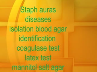 staphyococus aureus.pdf
