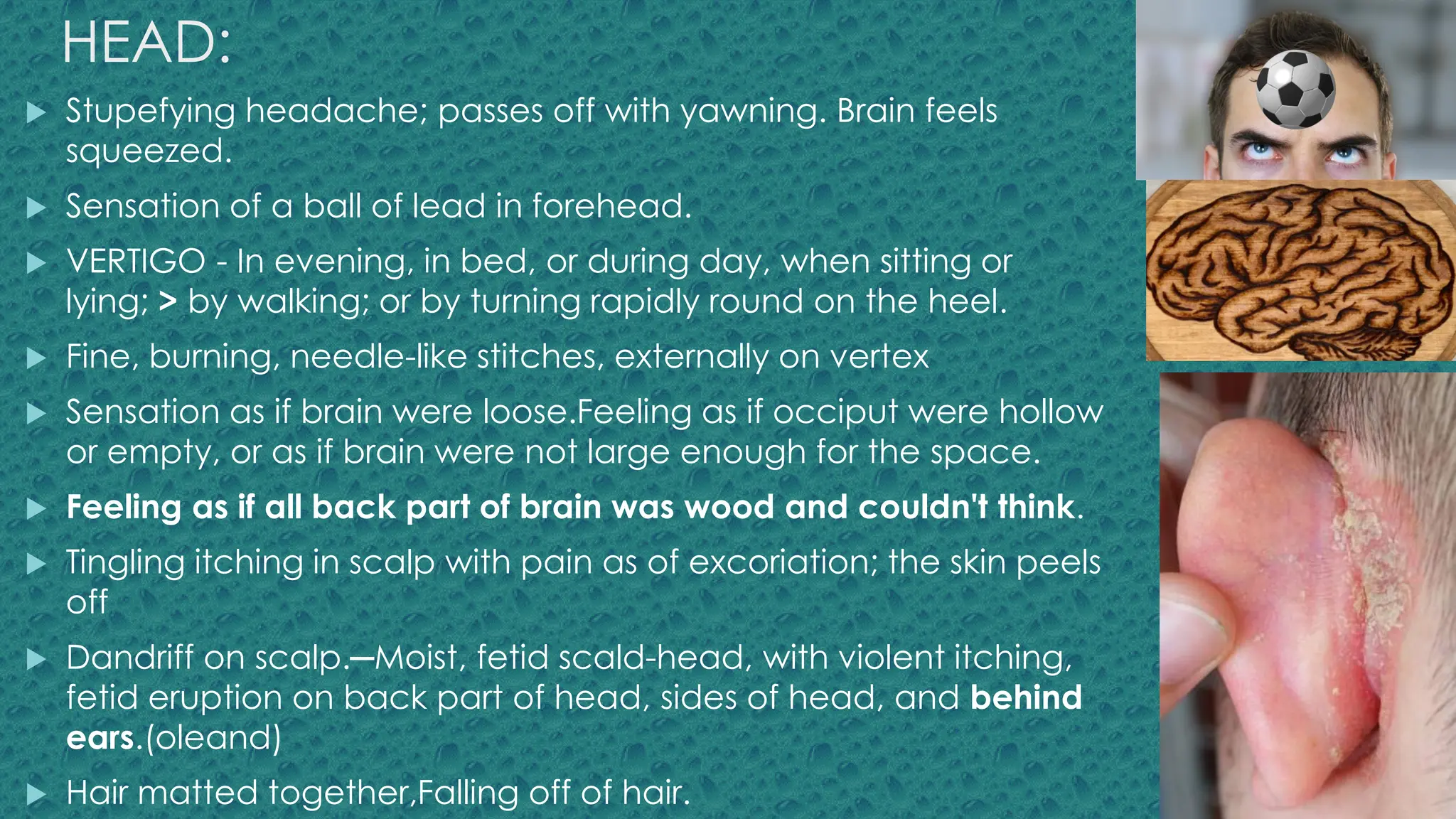 STAPHYSAGRIA.BHMS.MATERIA MEDICA.HOMOEOPATHY | PDF