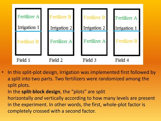 critical differences in split plot and strip plot design.pptx
