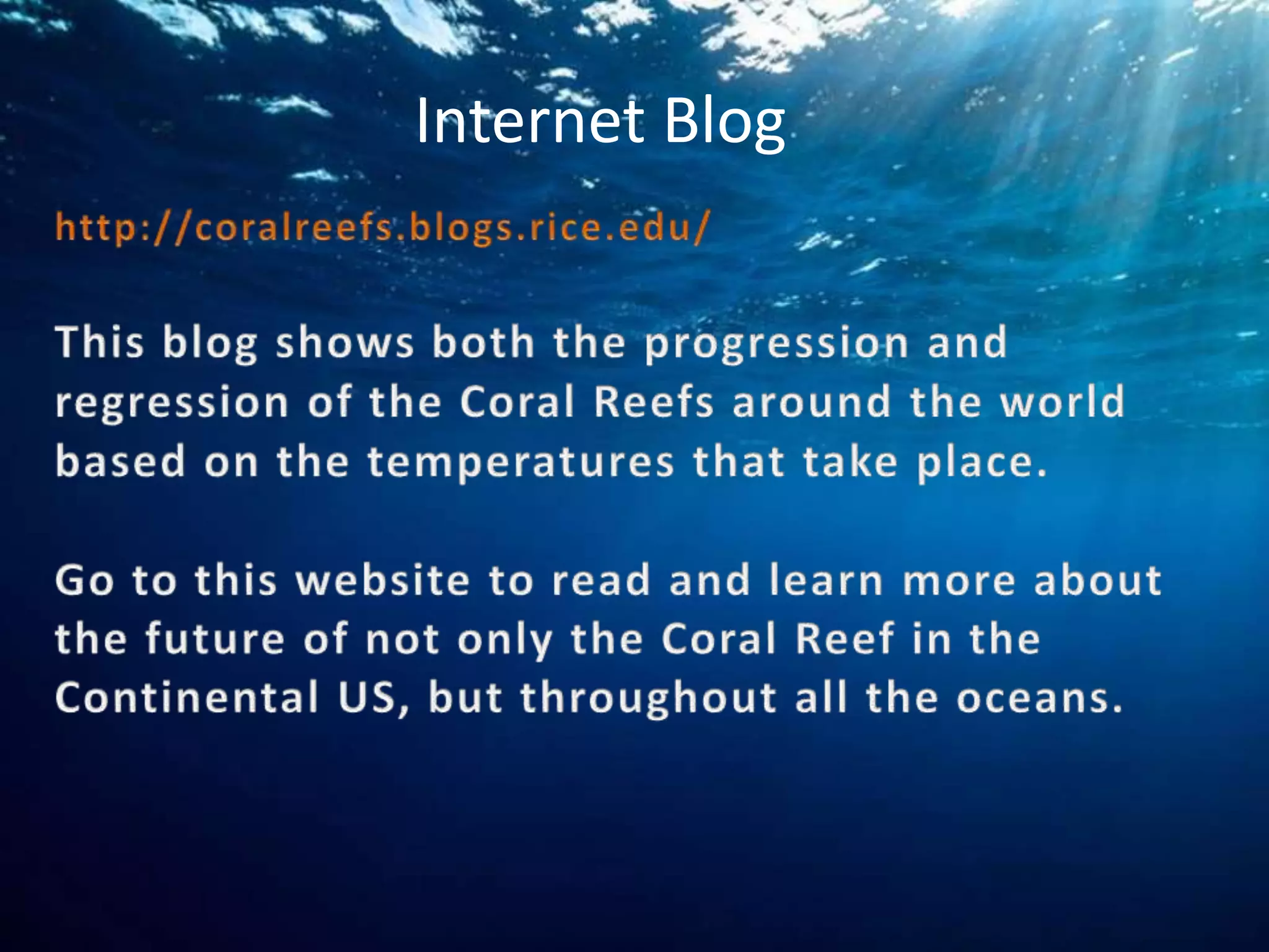 Coral Reefs | PPTX