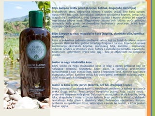 STara Group portfolio | PPT